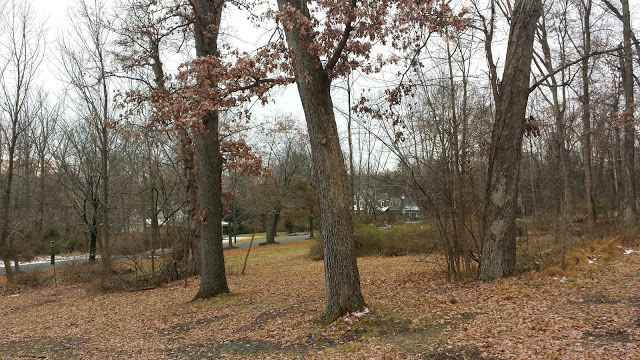 The Matt Ward History Experience : Middlebrook Encampment