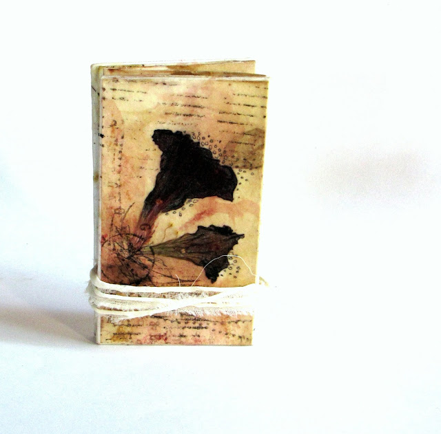 Letting in the Light: Finding Violet