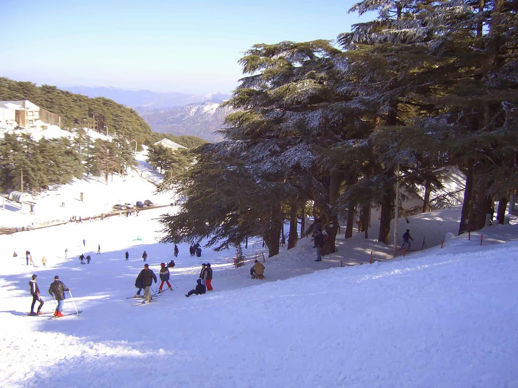 World Ski Resort: Chrea