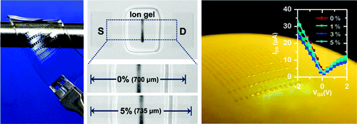 Stretchable Graphene Transistors with Printed Dielectrics and Gate ...
