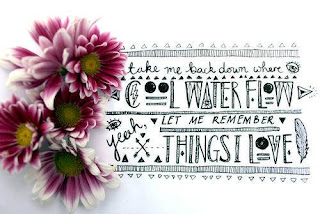 Wild Moon: Pony Gold- Rachel Urquhart