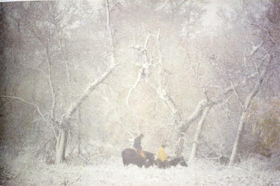 Los Grandes Fotografos: William Albert Allard (1937)