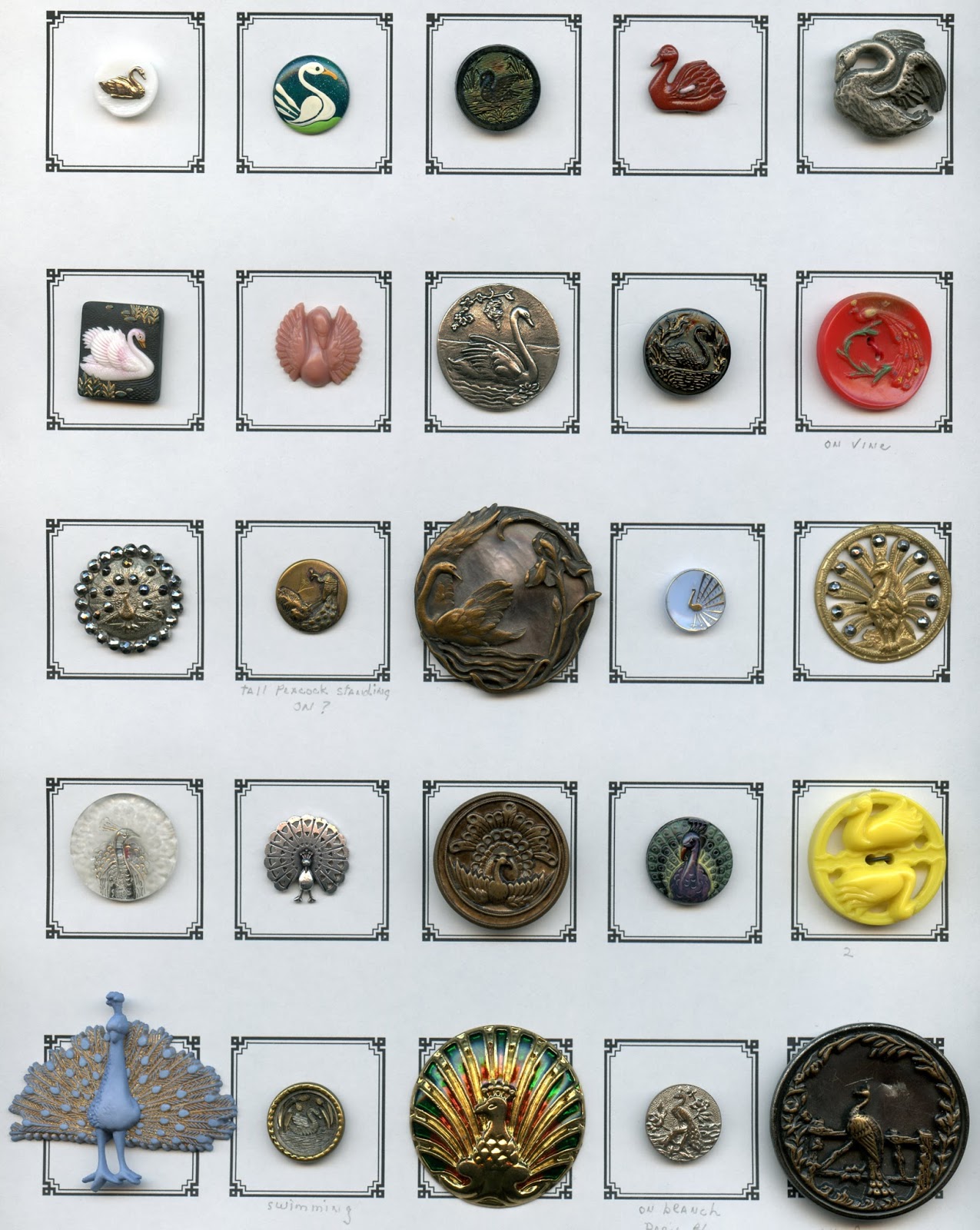 Pegs Button Blog: Swans and Peacock Buttons