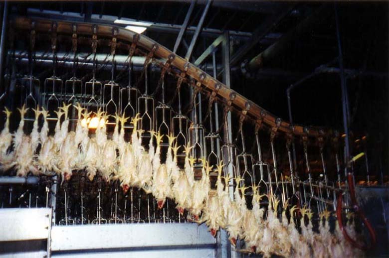 Nyheter - for the win