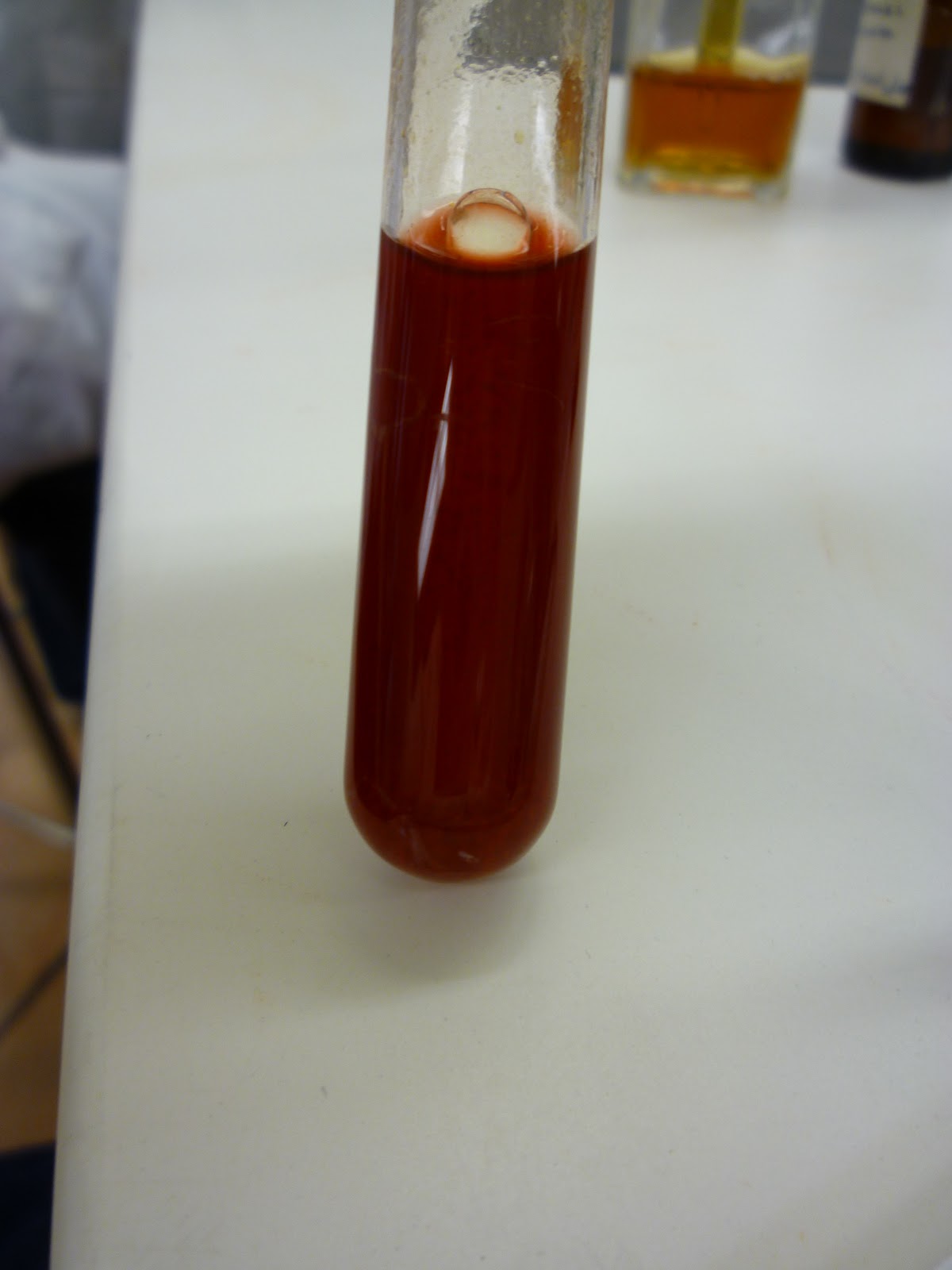 Medical Microbiology: November 8-10