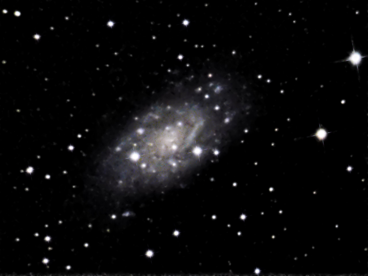 Estrellas y Galaxias: NGC 2403 y NGC 2404 galaxia espiral y nebulosa de ...