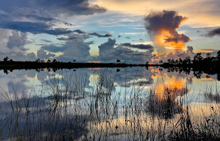 Wilton Manors Main Street