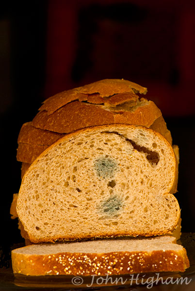 Dreaming Man: moldy bread