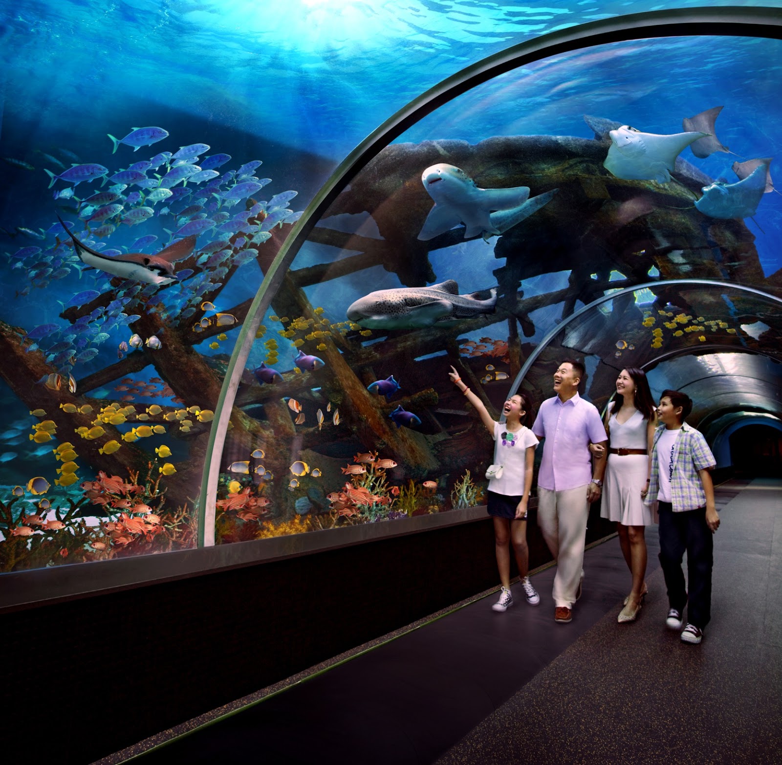 Efa Nur: PROMOTION: S.E.A. AQUARIUM+ ADVENTURE COVE WATERPARK ...