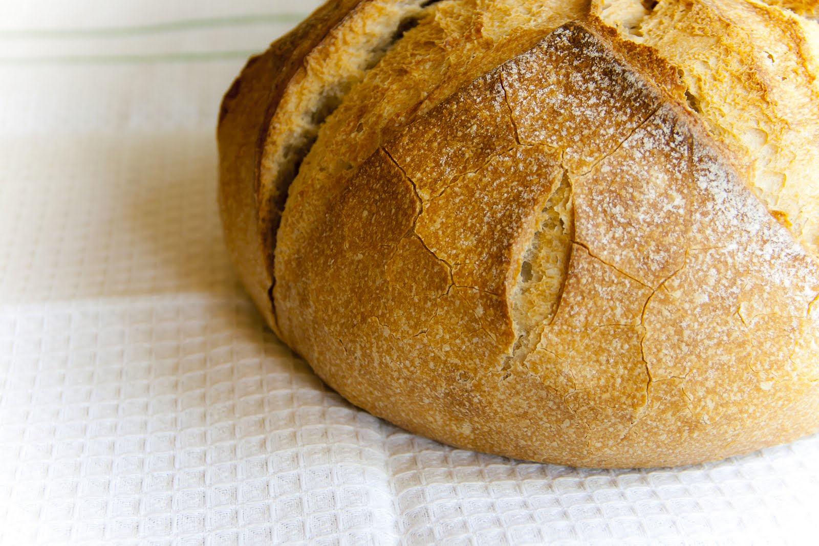 MUY MUY HECHO: DE ALIMENTOS PRIMORDIALES 1: EL PAN