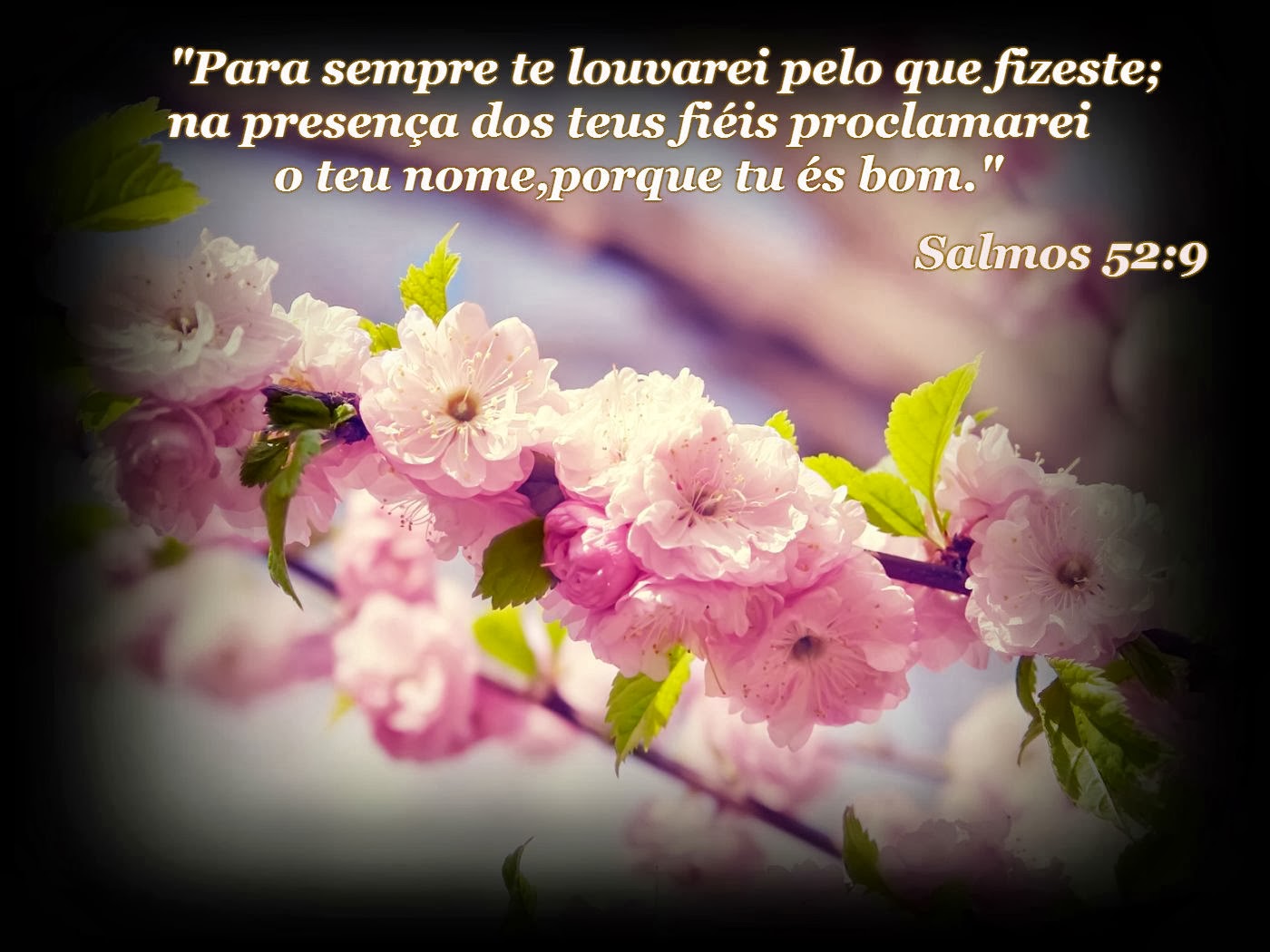 Salmos 52 8 Explicação - RETOEDU