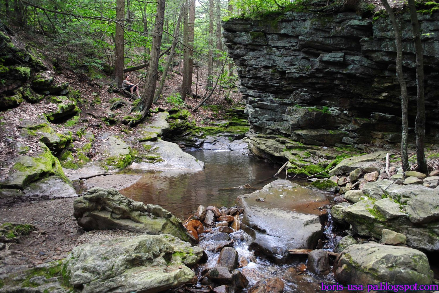 Seven Tubs Nature Area | Travel from Philadelphia