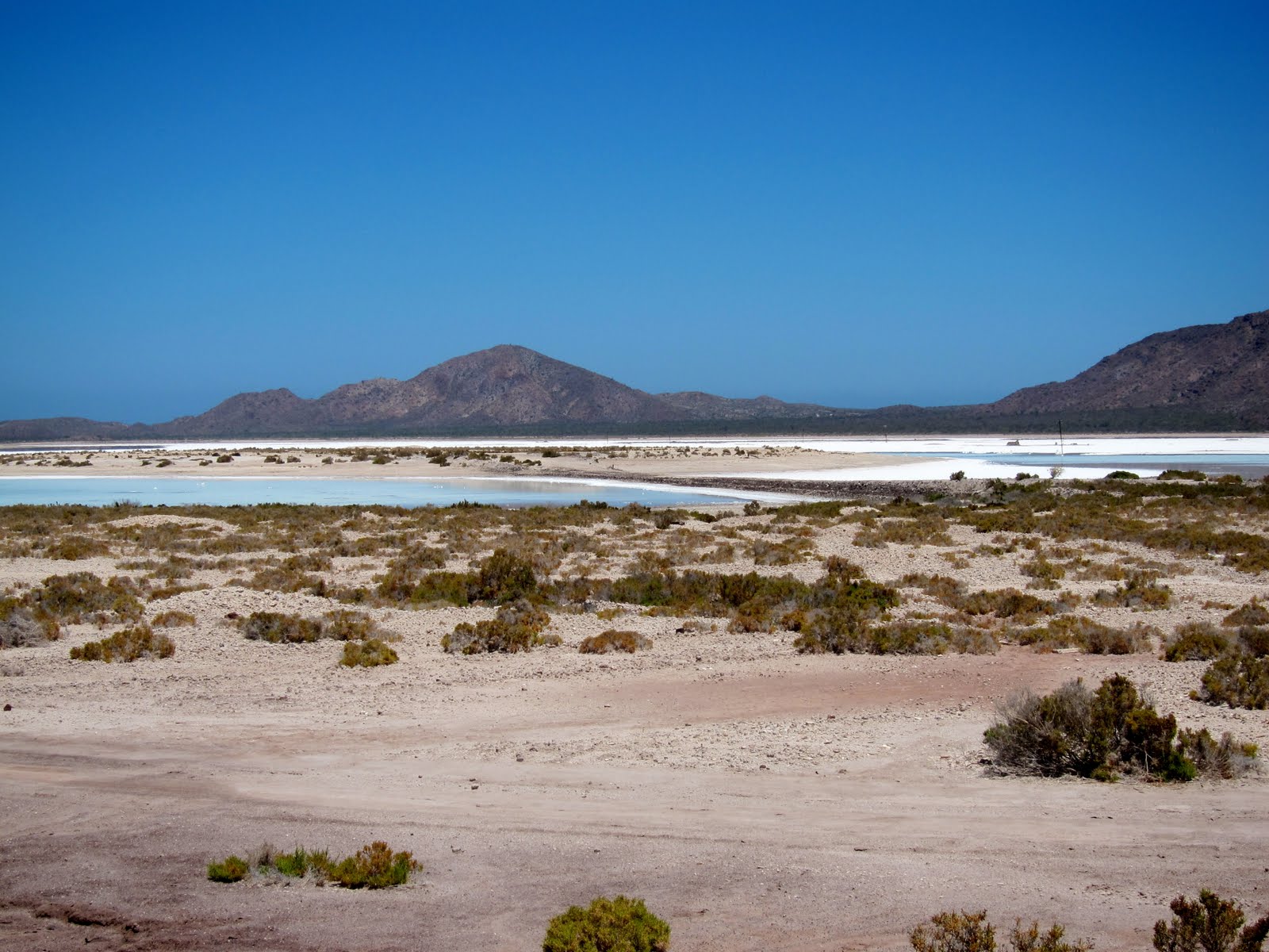 Santosha: Punta Chivato and all points in between