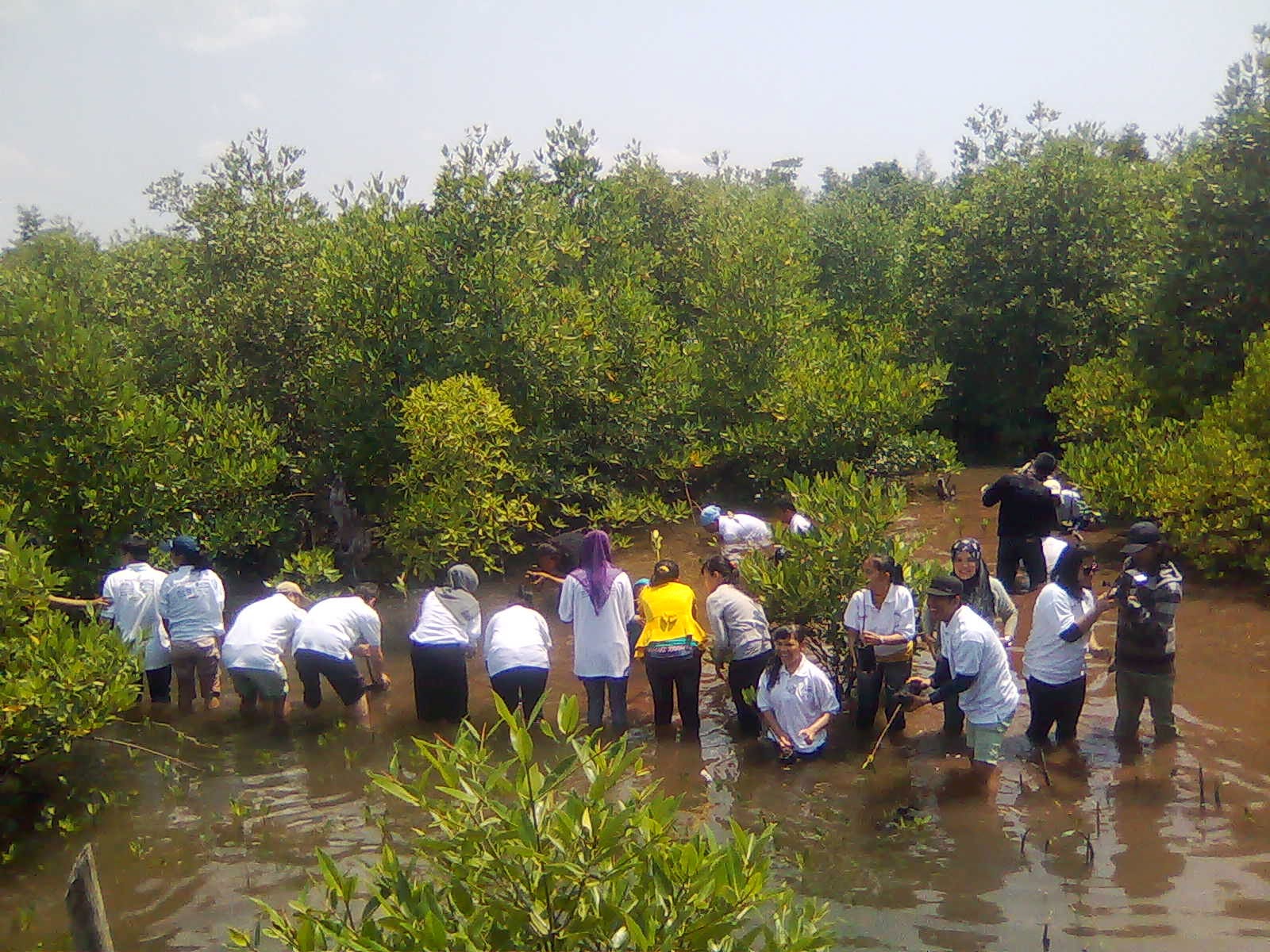 BATAM SECRET: PT RUBYCON INDONESIA GANDENG AKTIVIS CISHA INDONESIA