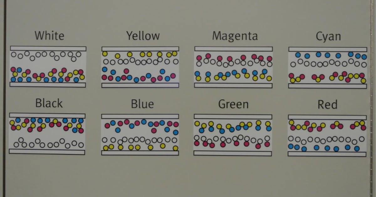 Color Electrophoretic Display
