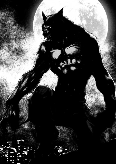 ¡Las Increibles Aventuras de una Otaku!: ¡Hablemos de Manga: Wolf Guy ...