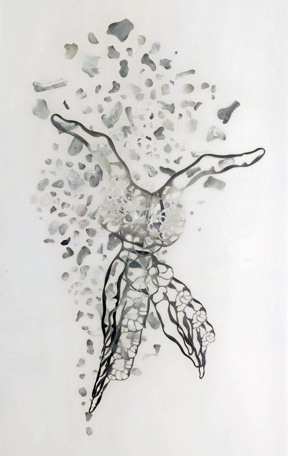 Jason Eden: X - Rays