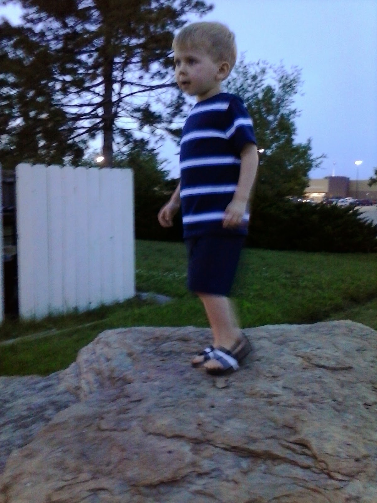 Diary of a Bad Mother