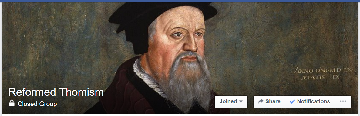 Triablogue: No such thing as “Reformed Thomism” among the Reformed Orthodox