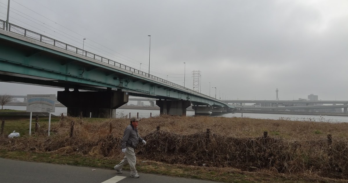Bridge of the Week: Tokyo, Japan's Bridges: Funabori Bridge across the ...