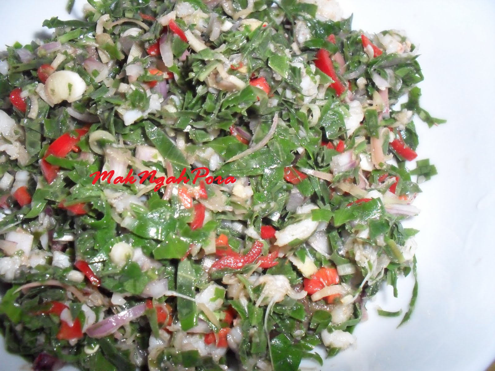 Fuziah Sulaiman blog: Perihal Pokok PUTAT - Barringtonia racemosa ...