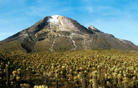 AGENCIA DE VIAJES - TOURS TOLIMA