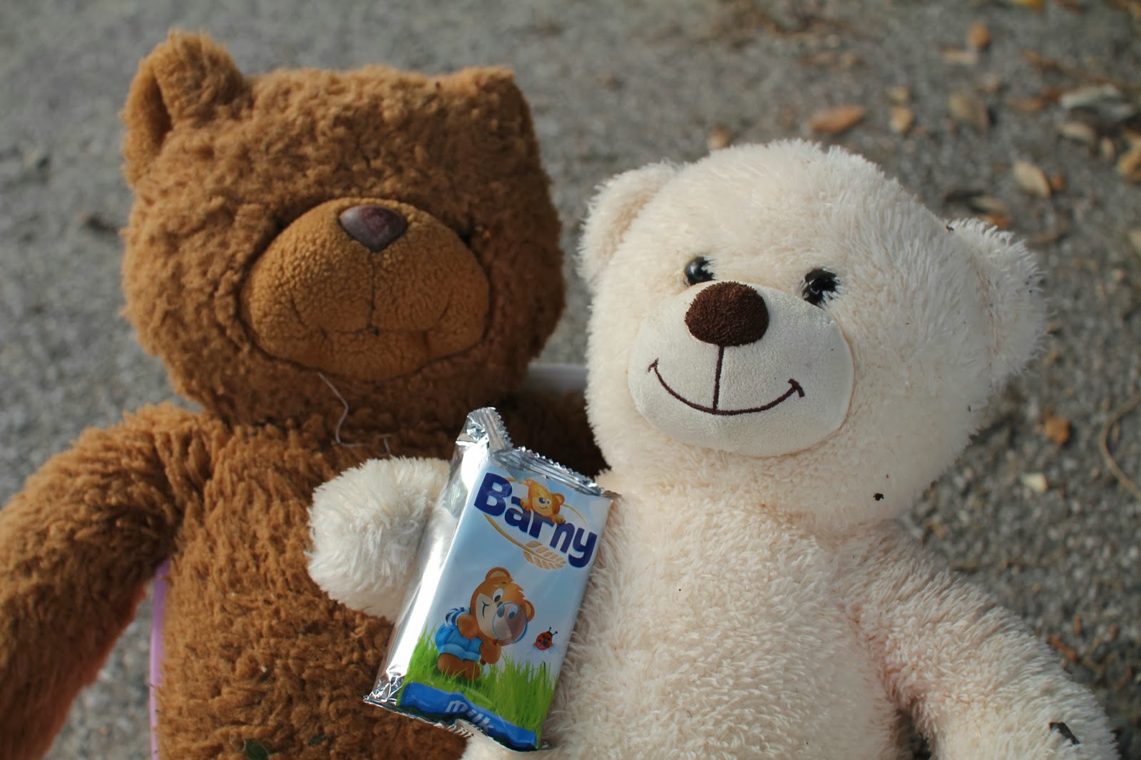 Mummy's Little Blog: Were going on a Barny Bear hunt!