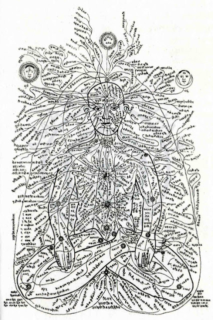 The Kundalini Consortium: How Vibrations Affect our Physical Reality ...