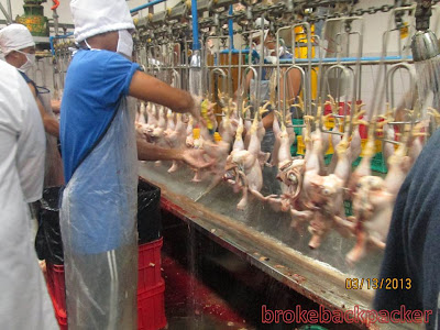 brokebackpacker: Chicken Dressing Plant - Process Flow