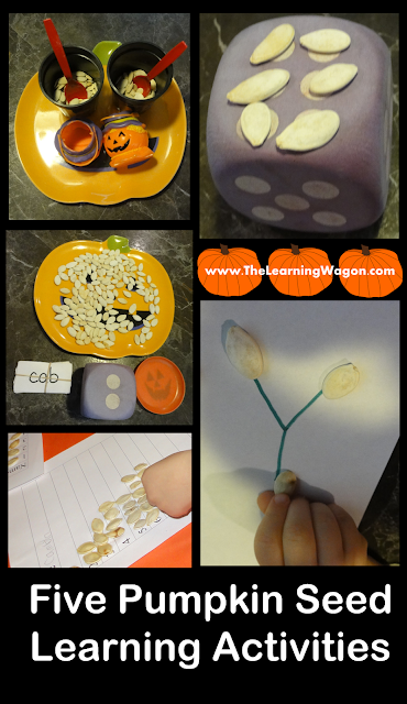 The RV Classroom: Five Pumpkin Seed Learning Activities