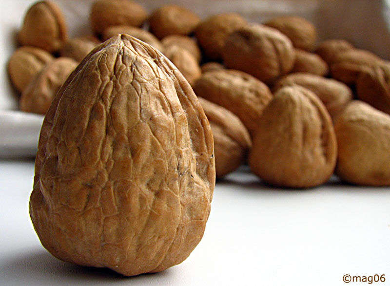 Mil Maravillas: Nueces