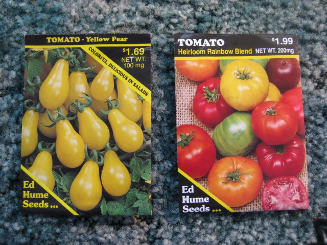 Fruits Of My Labor: Two Month Old Tomato Plants