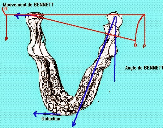 la prothèse dentaire: L’occlusion en prothèse adjointe partie1