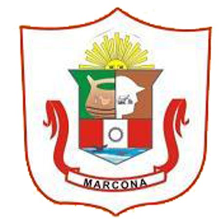 Marcona Digital Noticias: Evaluación de ejecución presupuestal de ...