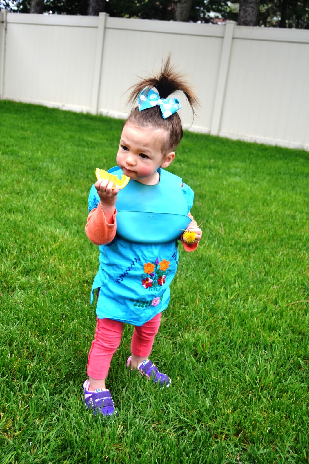 8 Must-Have Toddler Items | The Nutritionist Reviews