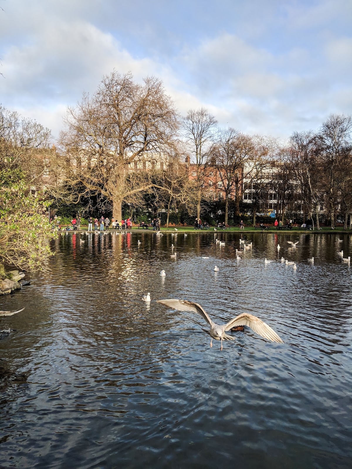 canny good: Day 4: Welcome to Scotland