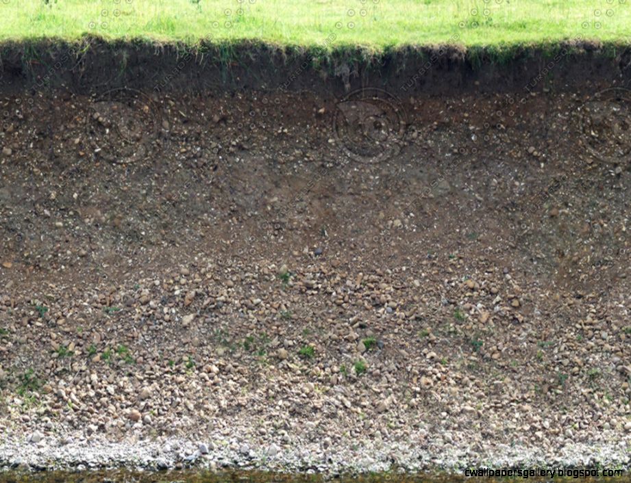 Muddy River Bank | Wallpapers Gallery