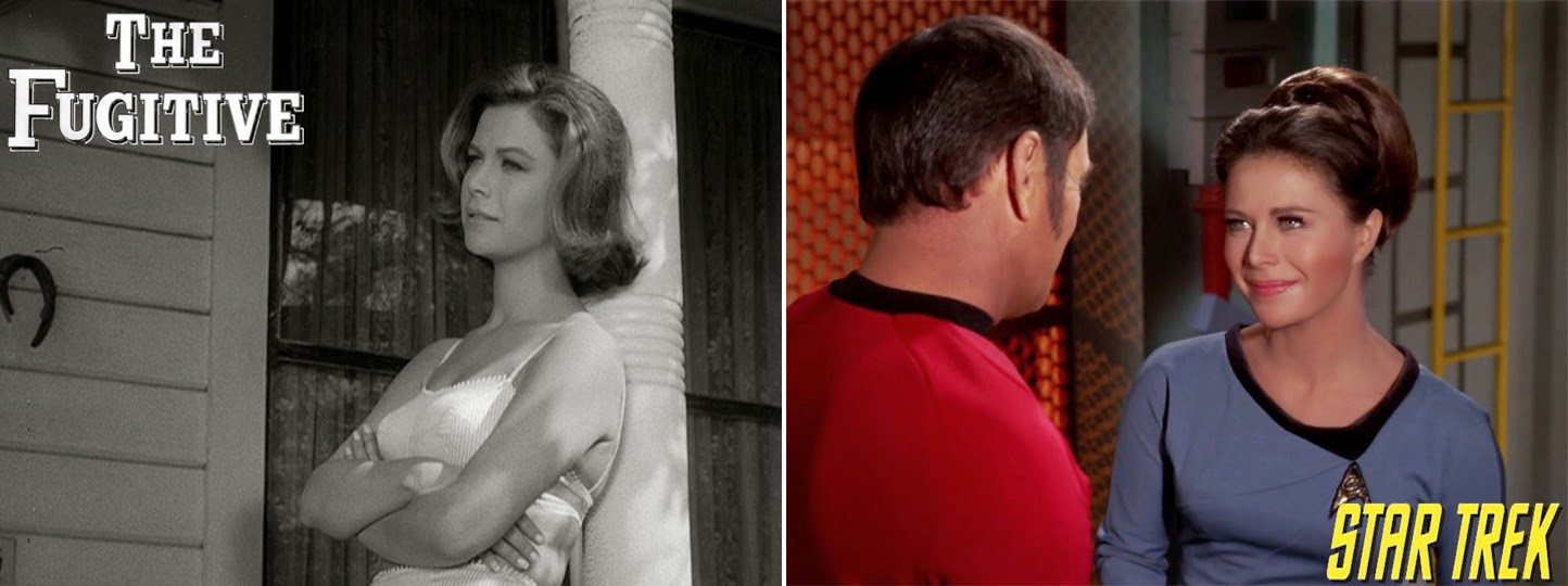 Hello USA: jan shutan