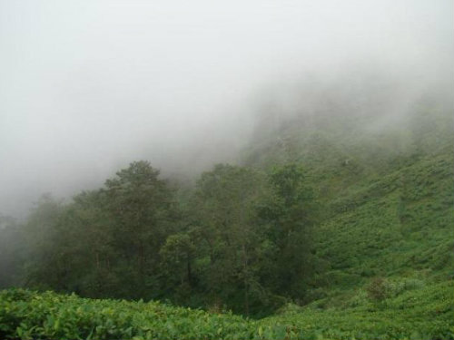 Rangaroon Tourism - Rangaroon Travel Guide - Sightseeing, Accommodation ...