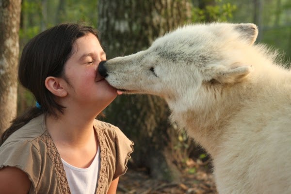 White Wolf : 15 Most Amazing Pictures of Wolf - Human Interaction