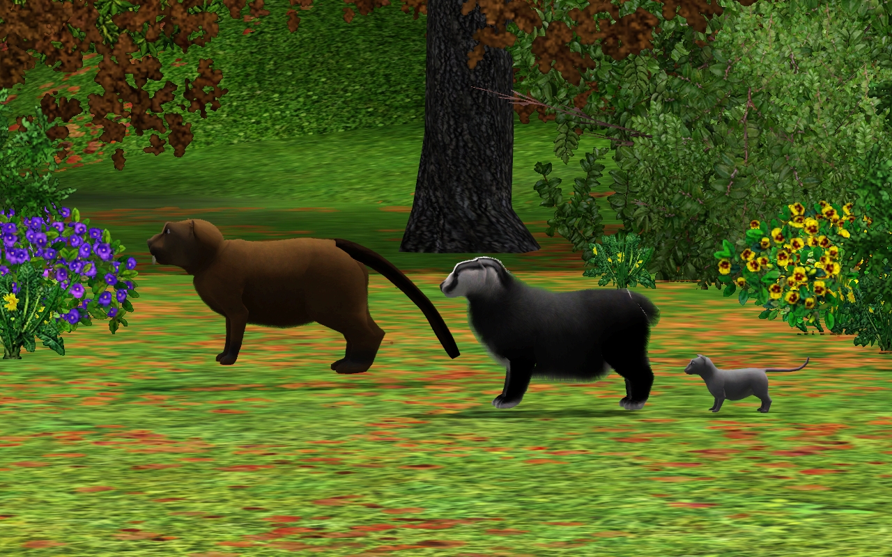 Mod The Sims - Accessories that completely changes how a pet looks