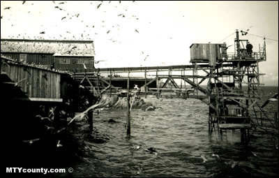 Diary of an Autodidact: Cannery Row by John Steinbeck