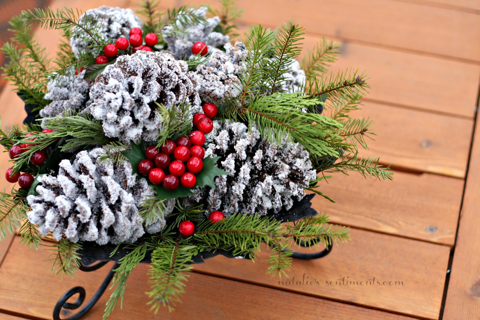 natalie's sentiments: Snowy Pine Cones