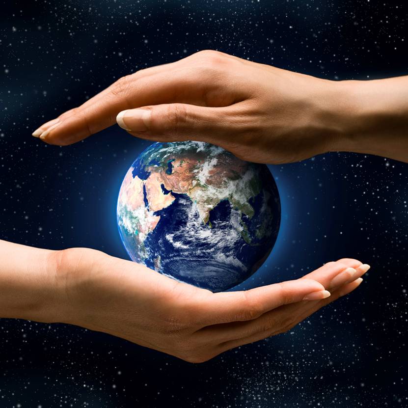 TRIBEWORK: The Multiplicity of Kindness TRIBEWORK: The Multiplicity of Kindness