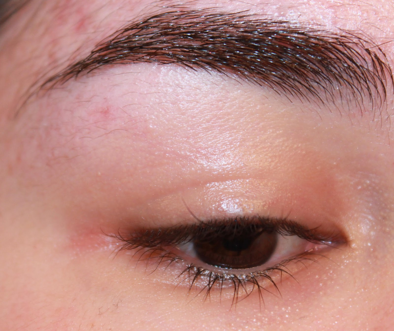 The Dark Side of Beauty: Tips for Eyebrow Grooming (Before and After)
