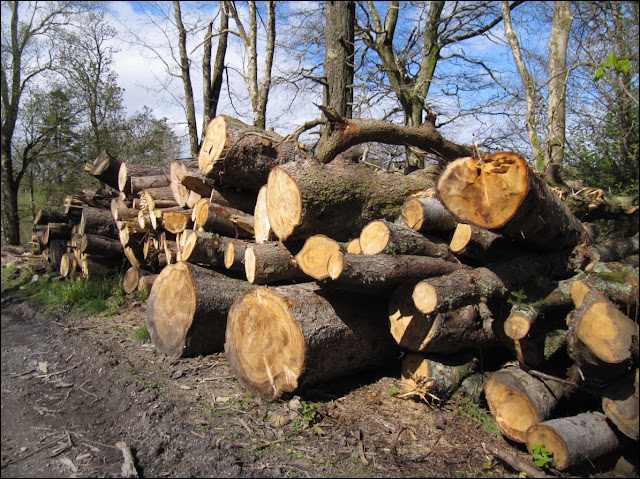 Islay Natural History Trust: Timber at Ballygrant