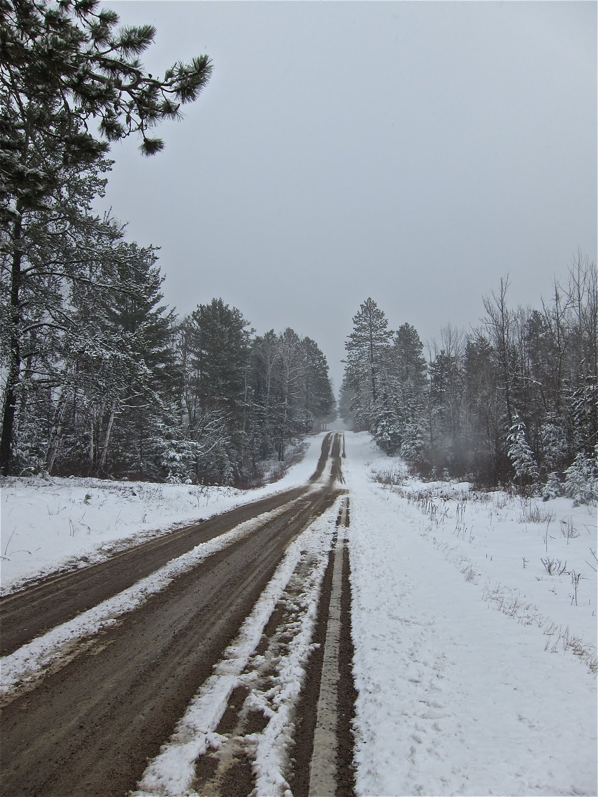 Bill's Magical Mystery Tour...: Spring Time Gravel in Northern Minnesota