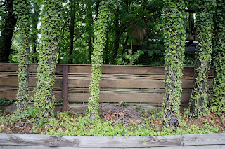 GreenZone Landscape Design: James Rose House: An East Coast Mid-Century Gem