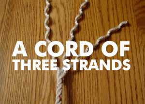 National Portrait #manyrootsonepeople