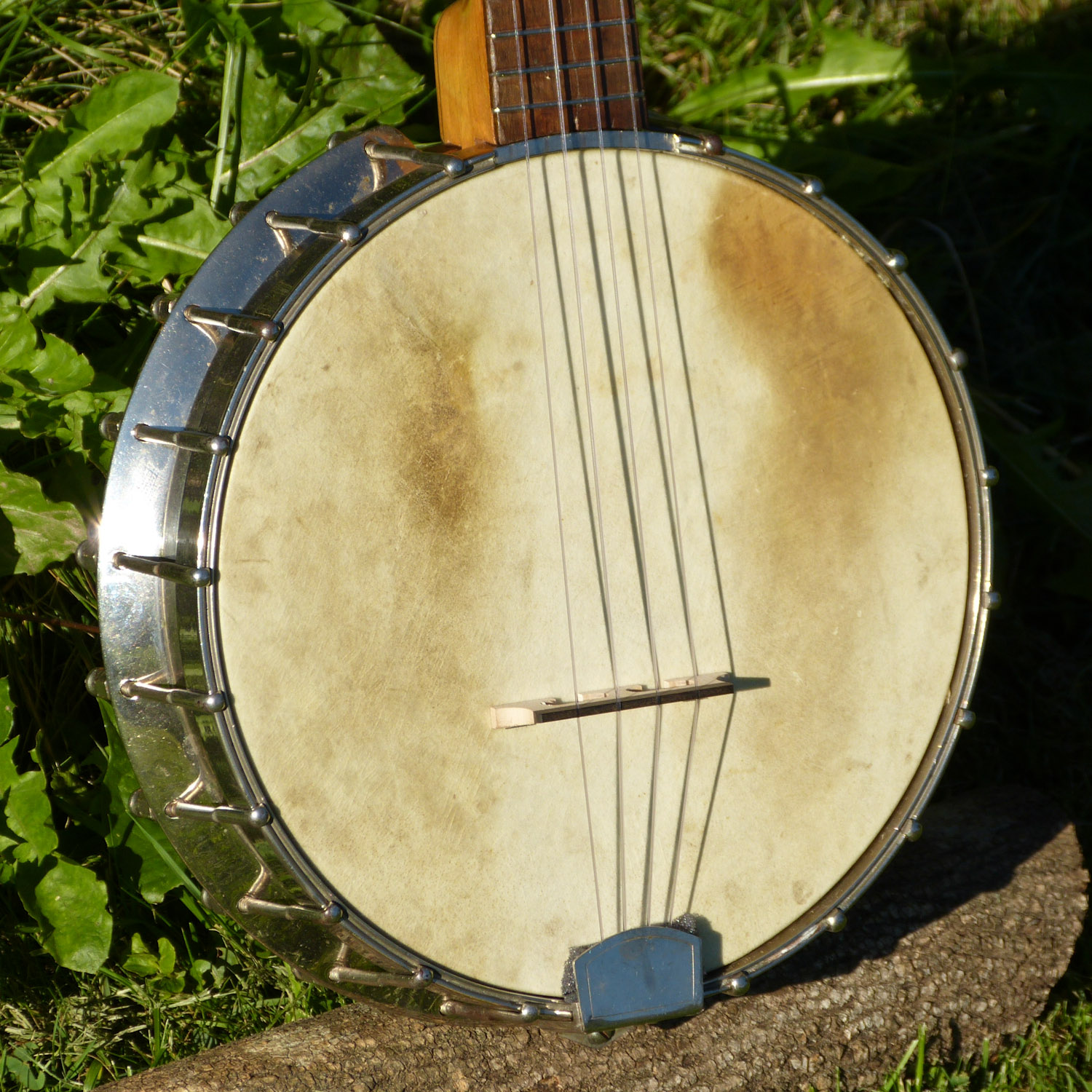 1920s Epiphone Banjo Ukulele